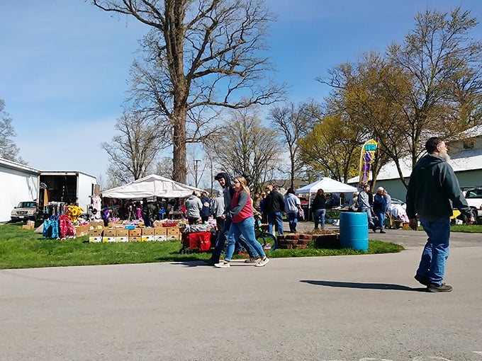 The local flea market: where treasure hunting doesn't require a metal detector, just a good eye and Social Security dollars that stretch like yoga instructors.