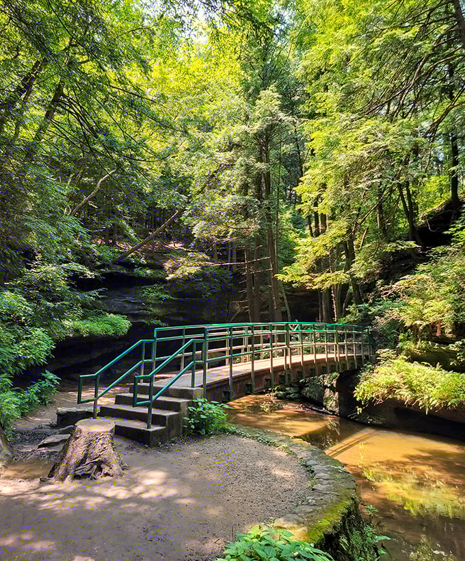 This isn't just any footbridge&mdash;it's the gateway to adventure, beckoning visitors into a world of moss-covered mystery and woodland magic.
