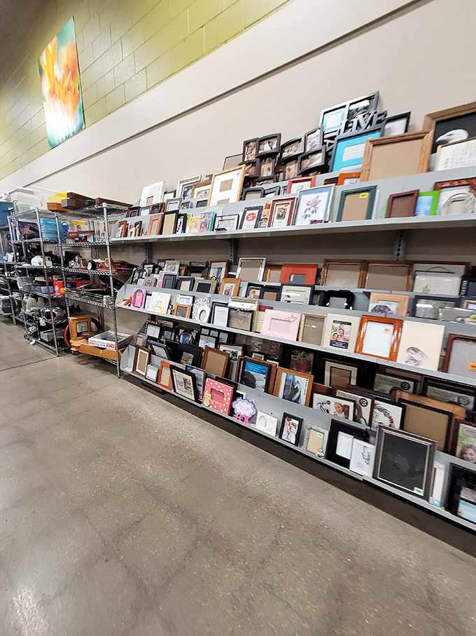 Frame heaven! A gallery wall waiting to happen, with every style from ornate gold to minimalist modern ready for your family photos.