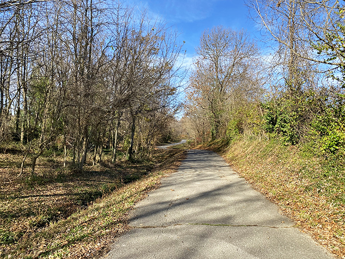 Tree-lined trails offer nature's prescription for stress relief, where autumn leaves crunch underfoot like childhood memory soundtracks.