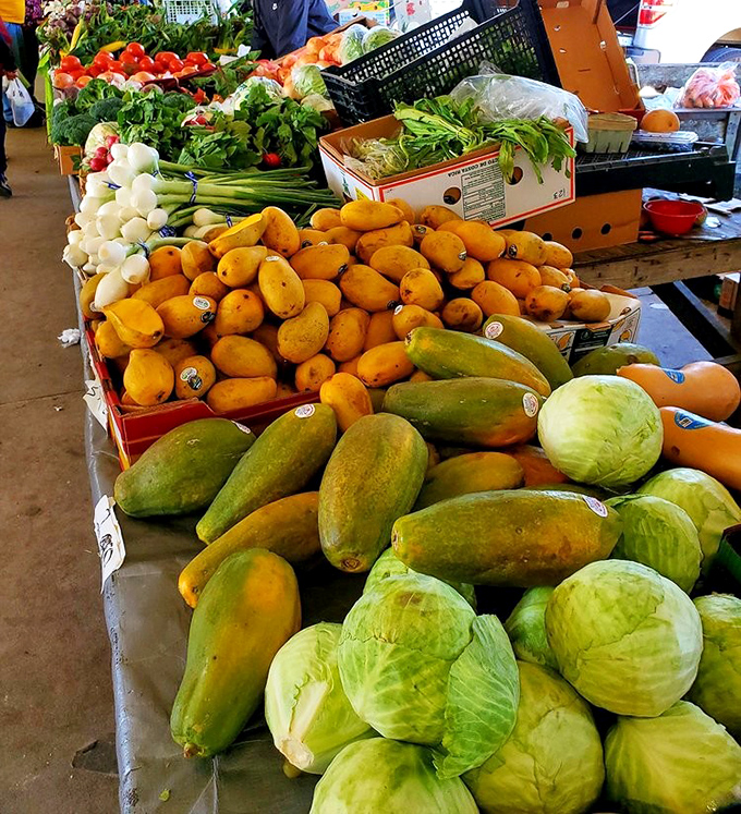 Nature's candy counter &ndash; where Florida's sunshine gets transformed into vibrant produce that makes grocery store offerings look like sad imposters.