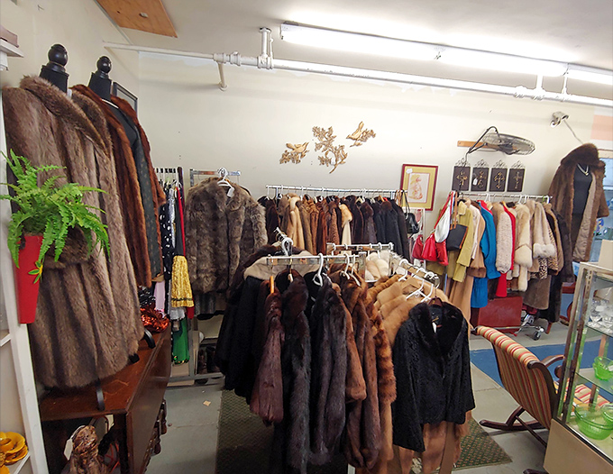 Fur coat collection that would make Cruella de Vil reconsider her life choices. Each one carries the ghost of cocktail parties and opera nights past.