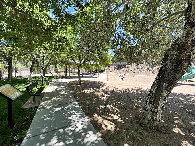 Garfield Park offers dappled shade and a moment to catch your breath. After conquering Bisbee's staircases, these trees provide merciful shelter from the Arizona sun.
