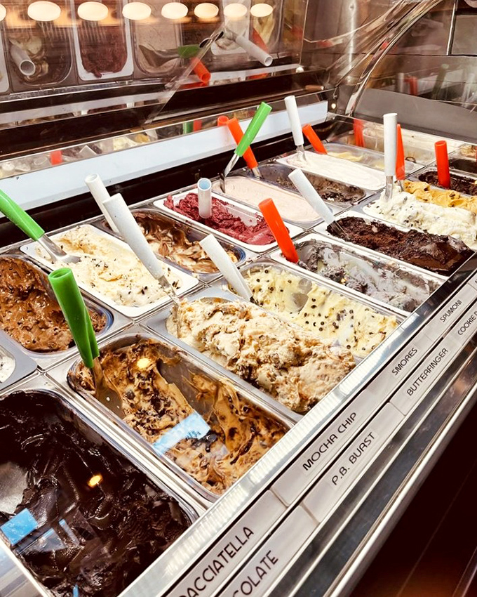 Gelato flavors lined up like colorful soldiers, each one ready to defeat your dessert resistance.