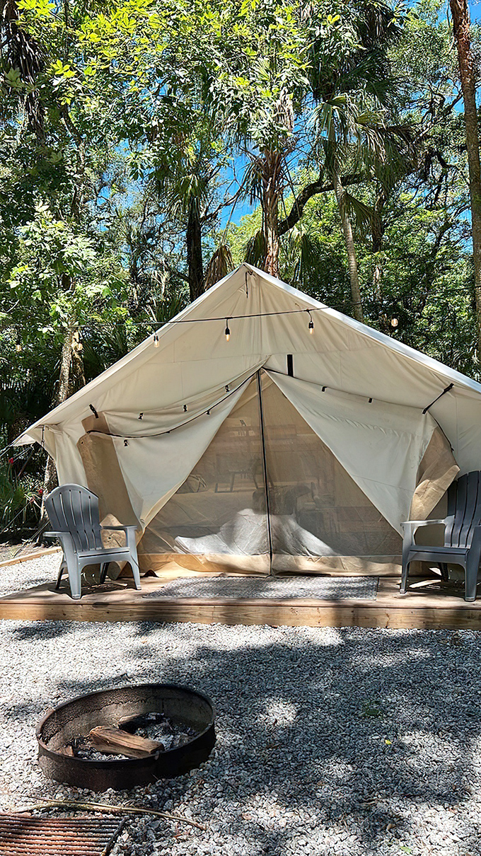 Glamping at its finest: where canvas walls meet luxury bedding, and stars provide the nightlight. S'mores delivery not included.