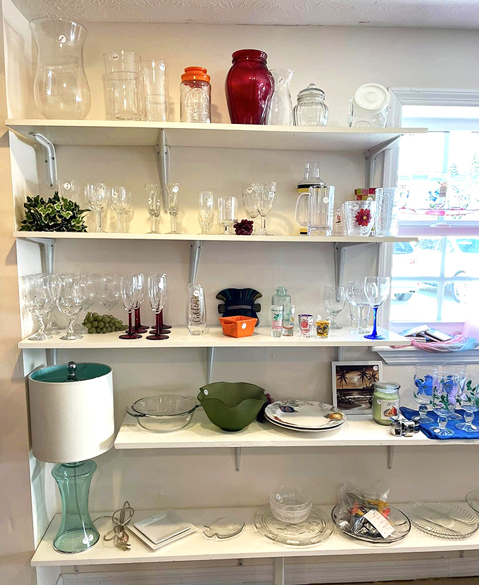 Crystal and glassware galore! From elegant stemware to that perfect quirky vase, entertaining just got more interesting and affordable.