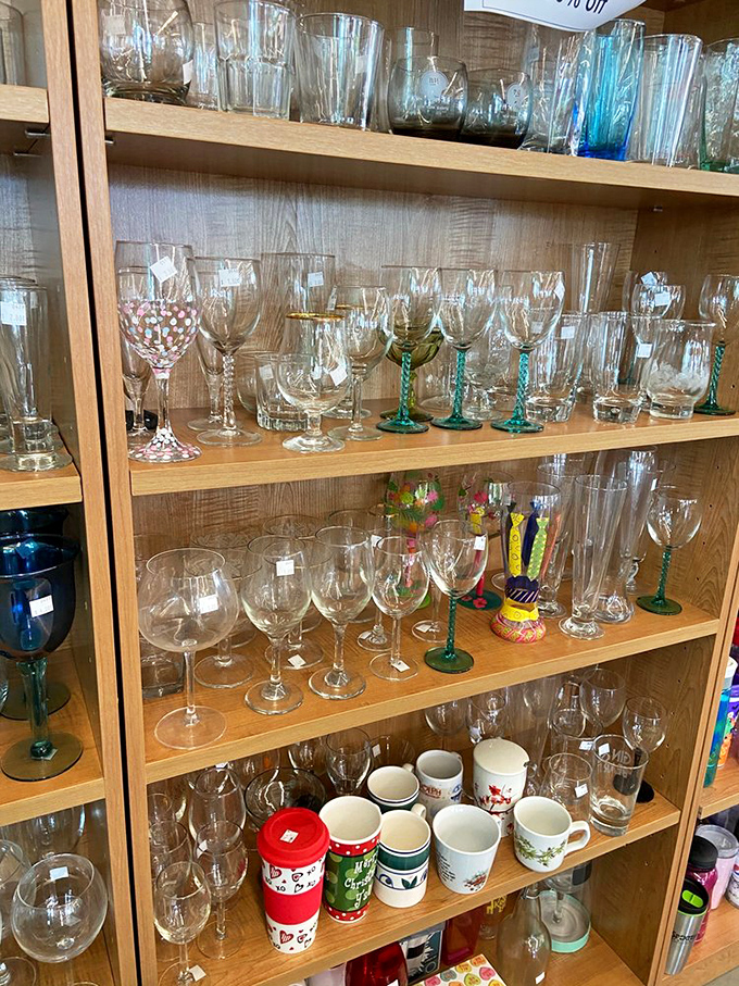 Raise a glass to bargain hunting! This collection of stemware proves you can host a sophisticated dinner party without sophisticated prices.