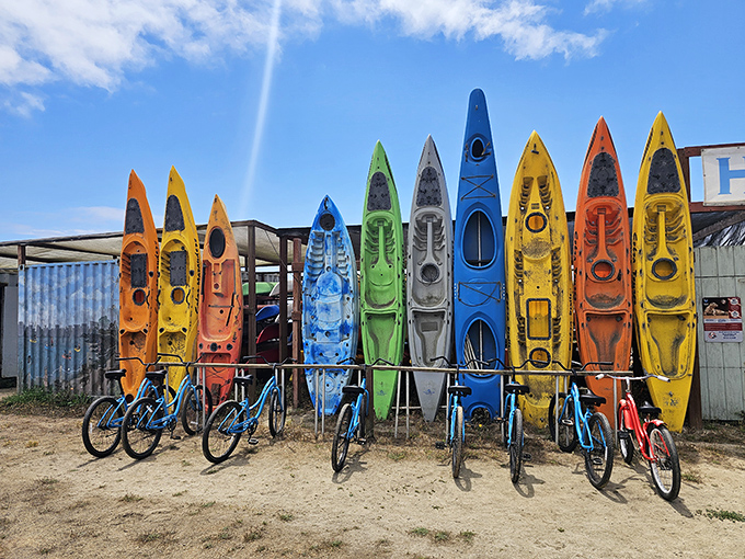 Paddle palette: Half Moon Bay Kayak Co.'s rainbow fleet stands ready for adventure, proving that sometimes the best water toys don't require a mortgage.