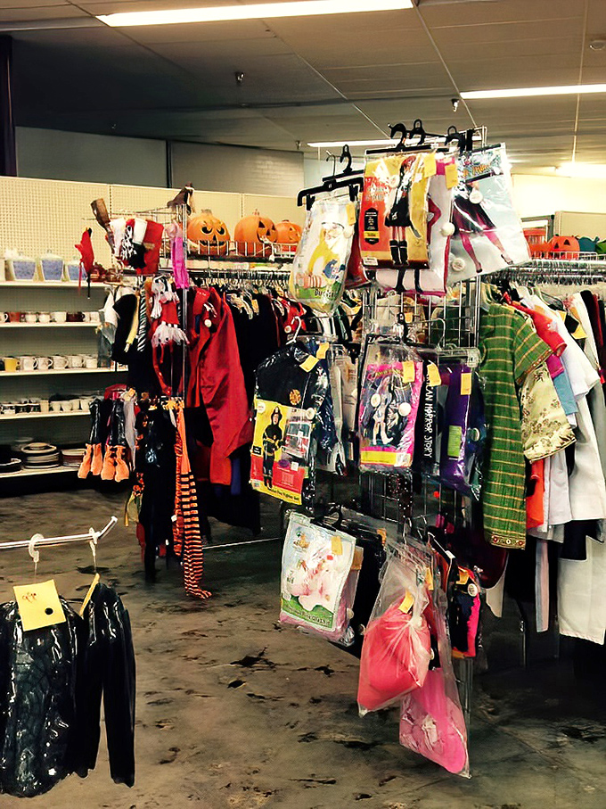 Halloween never ends at Mega Thrift. Last year's costumes become this year's bargains&mdash;spooky savings that won't haunt your wallet.
