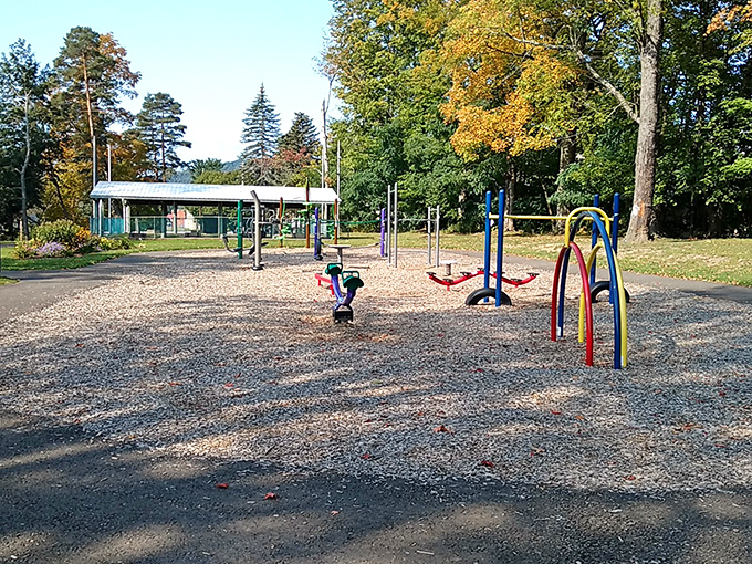 Hanley Park's playground equipment stands ready for the simplest form of entertainment&mdash;where kids discover the original version of "wireless fun."