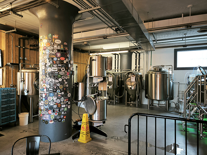 Hawksbill Brewing Company transforms science into art with gleaming tanks and a wall of beer caps that chronicles adventures one pint at a time.