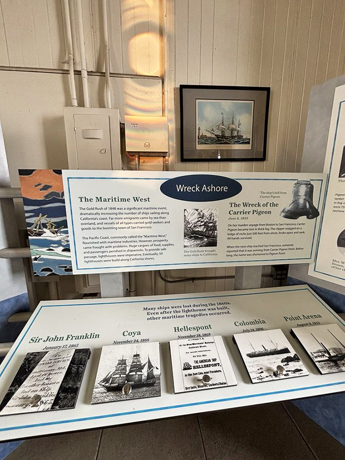 A fascinating glimpse into shipwreck history &ndash; proving that GPS might be the greatest invention for sailors since rum.