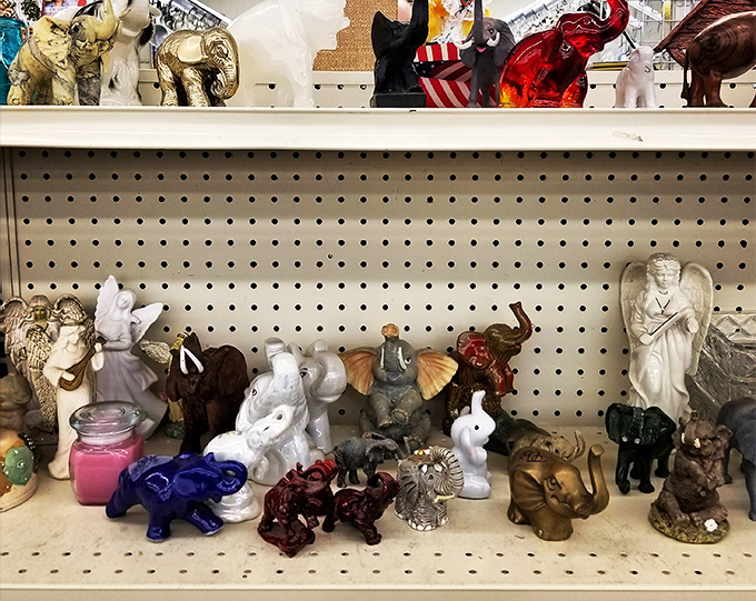 The elephant figurine collection trumpets the joy of random discoveries. These pachyderm treasures await adoption into your curio cabinet or bookshelf.