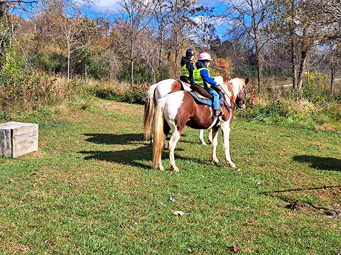 Horseback happiness captured: Salt Fork's riding trails offer perspective from a higher vantage point&mdash;both literally and metaphorically.