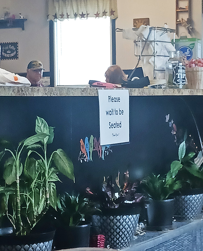 The host station welcomes you with plants and homey touches that immediately signal you're somewhere truly special.