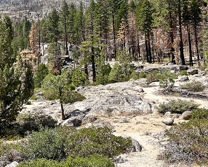 The Hot Springs Cut-off Trailhead invites hikers into a landscape where granite meets pine in a geological handshake millions of years in the making.