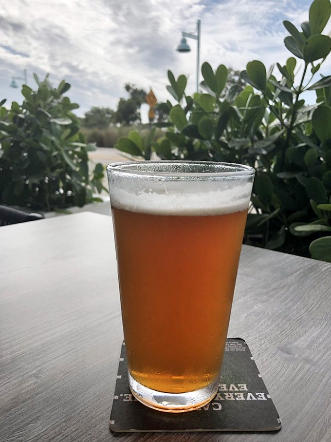 Florida sunshine in a glass&mdash;this craft beer with its perfect amber hue practically begs to be enjoyed while watching the Gulf Coast sunset.