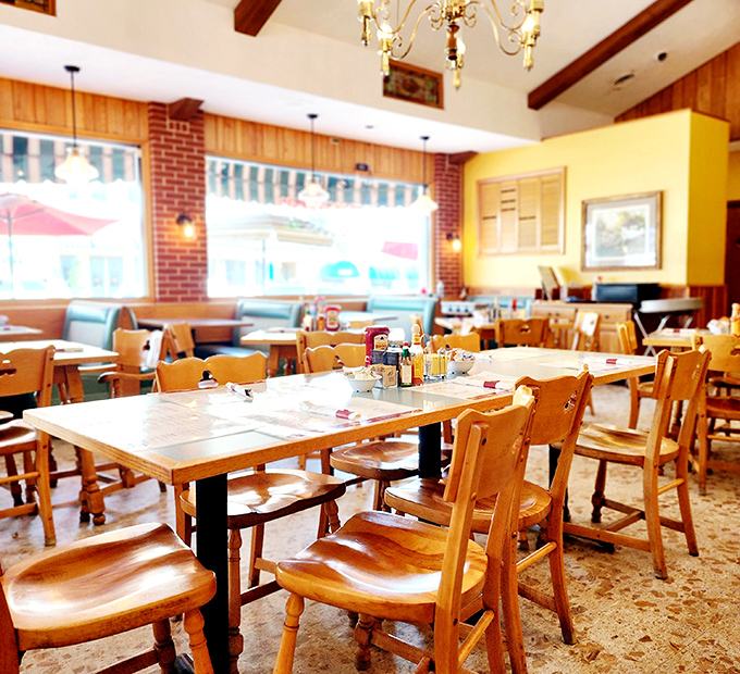 Wooden chairs that have supported generations of diners, beneath chandeliers that have witnessed countless "I can't believe I ate the whole thing" moments.