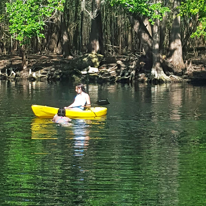 Kayaking the local waters offers front-row seats to Florida's wild theater. That yellow kayak isn't just transportation&mdash;it's your ticket to scenes most people only see in nature documentaries.
