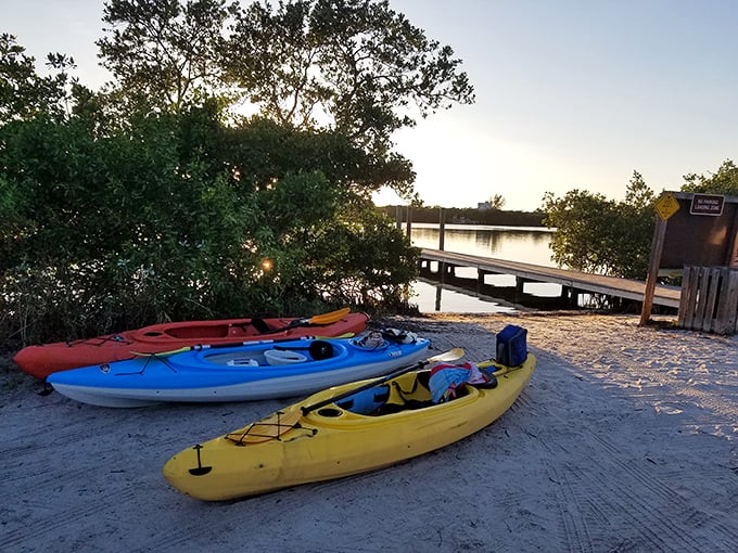 Colorful kayaks await their next adventure at sunset, like eager puppies hoping you'll pick them for the next water expedition.
