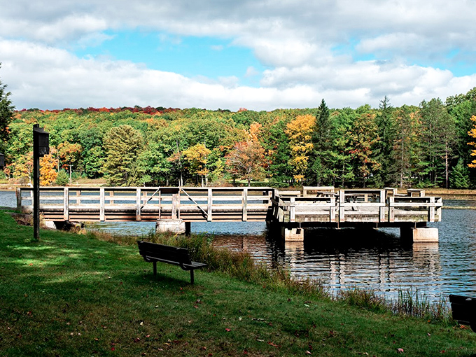 Fall's golden touch transforms the ordinary into extraordinary. This wooden dock becomes a front-row seat to nature's seasonal fashion show. 
