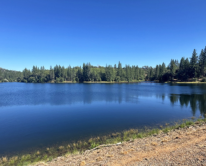 Lake Tabeaud's mirror-like surface reflects both sky and savings. Nature's entertainment comes free of charge in Jackson's backyard.