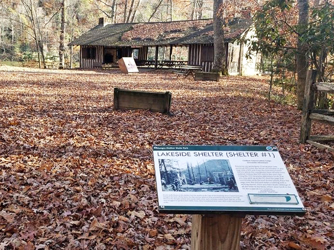 This historic lakeside shelter has hosted countless family reunions where potato salad and fishing stories reign supreme.