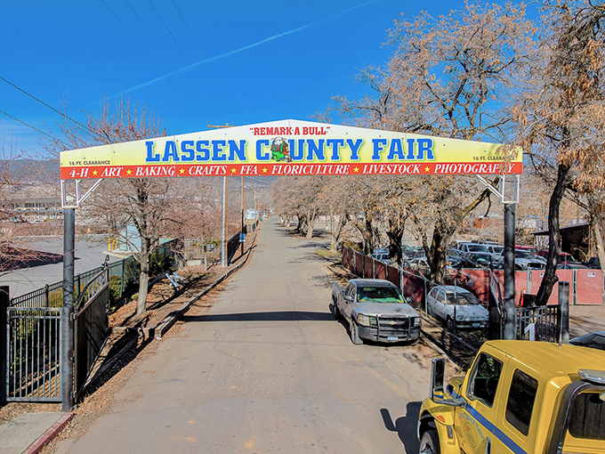 The Lassen County Fair entrance announces itself with small-town pride and big promises&mdash;where blue ribbons, livestock competitions, and funnel cakes create annual memories.