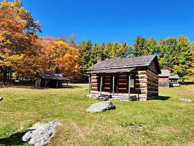 Pioneer spirit lives on in these meticulously preserved log cabins. If these walls could talk, they'd tell tales of mountain resilience and resourcefulness.
