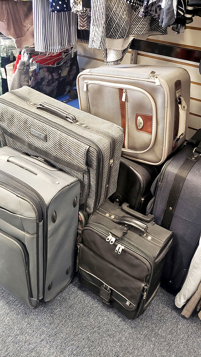 The luggage corner&mdash;where your travel dreams meet practical reality. These suitcases have stories to tell but plenty of miles left.