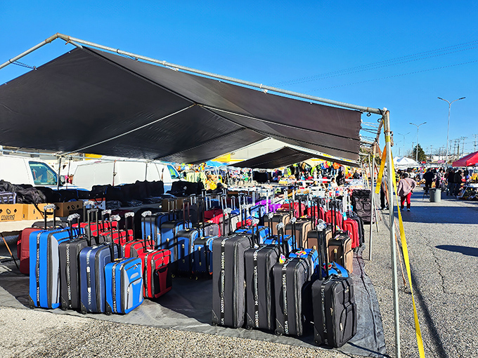 Quality luggage stands ready for adventures that won't require second mortgages to finance properly.