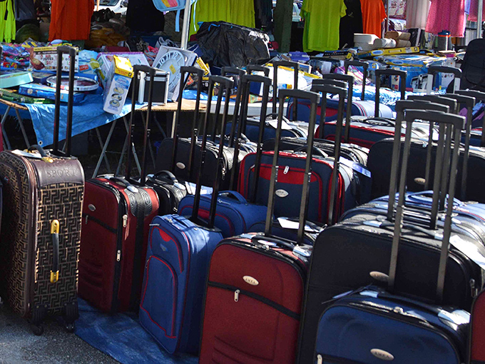 The luggage lineup looks like a United Nations of travel gear, each suitcase silently boasting of adventures past and journeys yet to come.