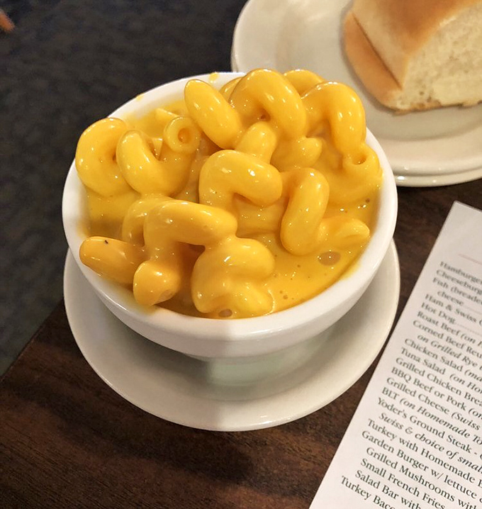 Mac and cheese that makes you question why anyone bothered to improve on perfection. Simple, sunny, and unapologetically cheesy.