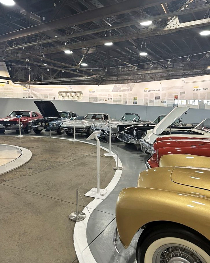 The museum's thoughtful curation creates a timeline of American performance, with each vehicle positioned to tell the next chapter in our national love affair with speed.