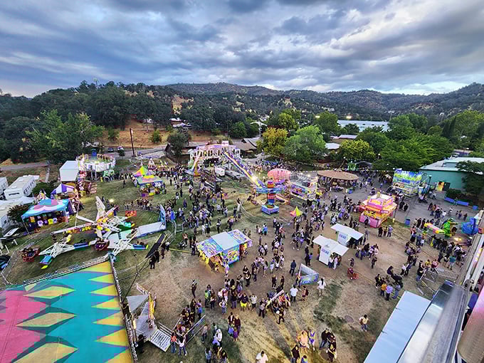 The fairgrounds transform into small-town magic when the community gathers to celebrate absolutely anything worth celebrating.