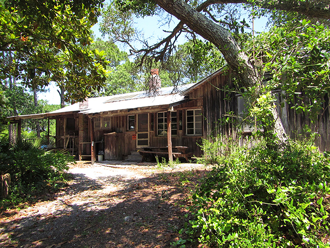 This rustic cabin whispers tales of old Florida, standing as a testament to simpler times amid the island's natural splendor.