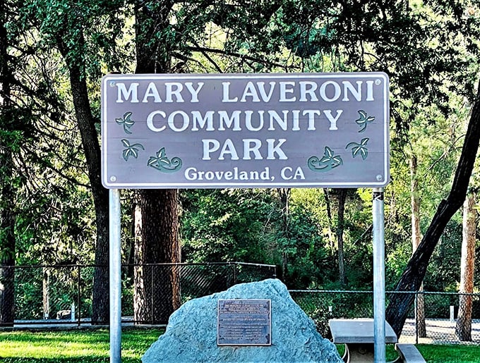 Mary Laveroni Community Park&mdash;where locals have been gathering for picnics, concerts, and the occasional friendly argument about fishing spots for generations.