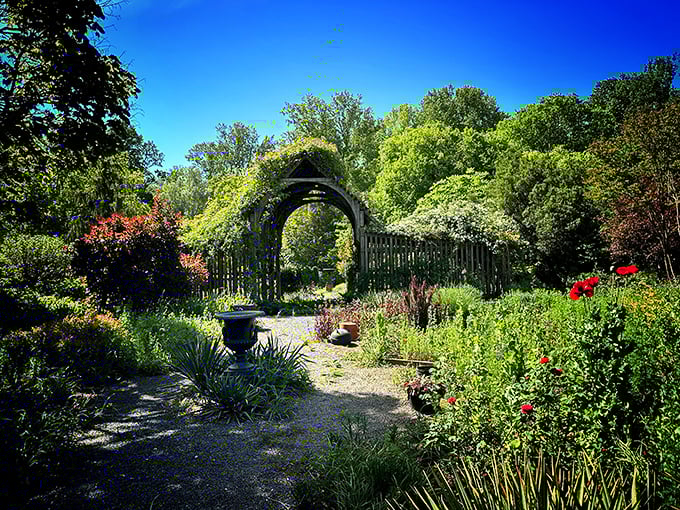 Montrose Gardens' archway beckons visitors into a secret world where flowers reign supreme year-round.