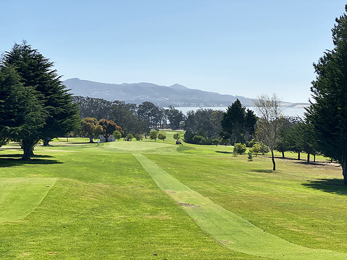Golf courses where the ocean views might actually distract you from your embarrassing slice into the rough.
