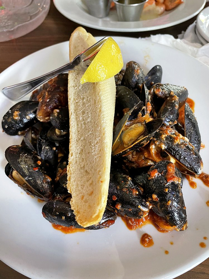 These mussels aren't just seafood; they're tiny vessels of garlicky, spicy broth begging to be sopped up with that crusty bread.