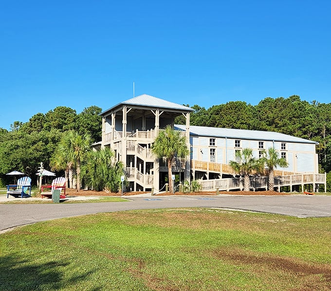 The Nature Center stands ready for curious minds, where "What's that bird?" and "Is that an alligator?" get expert answers.