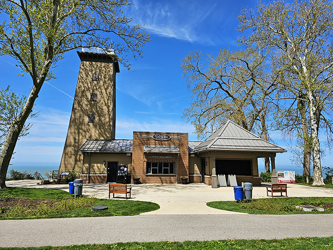 The Lake Erie Nature & Science Center stands sentinel over the beach, its observation tower offering bird's-eye views of this freshwater paradise.