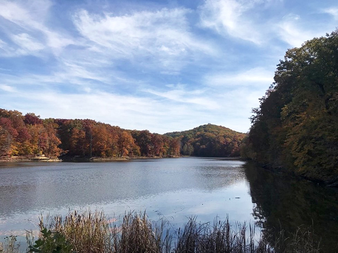 Ogle Lake living up to its name &ndash; you can't help but stare at water so still it seems to be holding its breath.