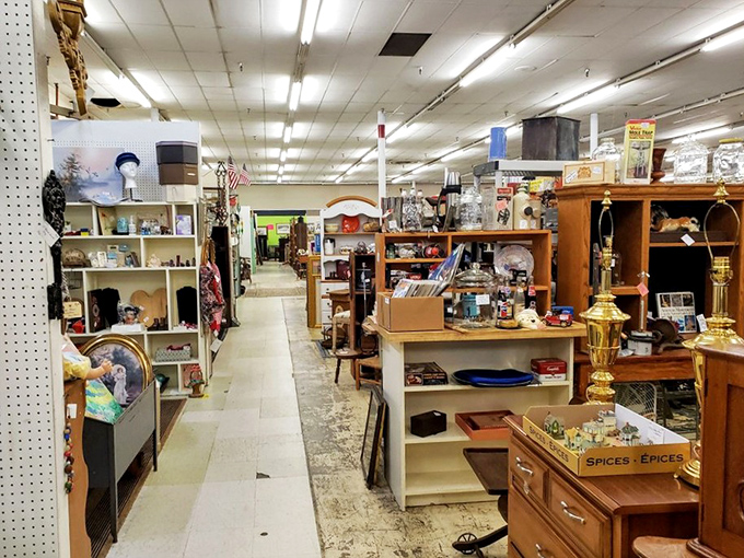 Every turn reveals new treasures, from brass lamps to wooden chests with secrets still inside.