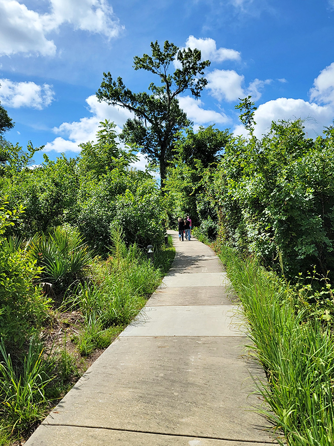 Florida's version of a mountain hike&mdash;shady, lush, and surprisingly diverse. This pathway through native vegetation offers a refreshing prelude to the caverns.