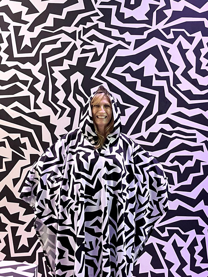 Camouflage taken to artistic extremes&mdash;this pattern-matching exhibit makes visitors virtually disappear when wearing the specially designed poncho.