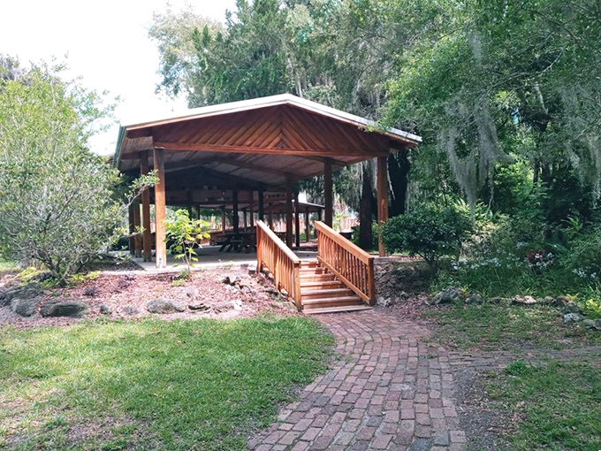 The perfect shelter for when Florida decides to unleash its famous afternoon showers. Picnic plans: saved!