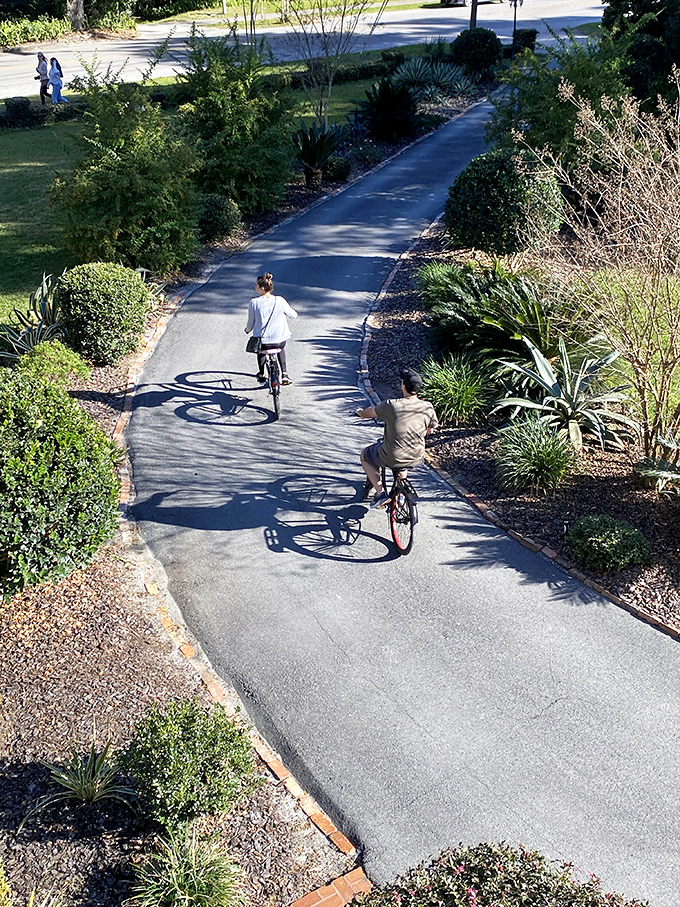 Bicycling through Micanopy's landscaped paths offers a perfect pace to absorb the town's beauty&mdash;neither rushed nor sluggish, just right.