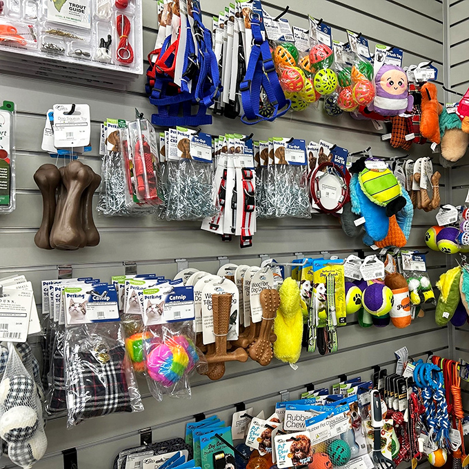 Pet paradise in miniature &ndash; where Fido can get fancy without emptying your wallet. Those plush toys won't stay pristine for long.