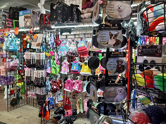 Pet lover paradise! Dog outfits and animal magnets prove Floridians love their furry friends almost as much as they love a good deal.
